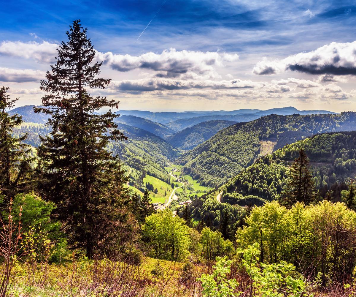 Schwarzwald | JUST AWAY